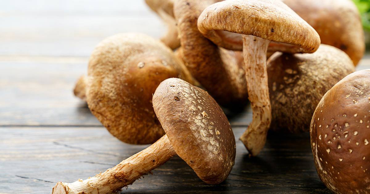 The Not-So-Secret Health Benefits of Shiitake (They’re Not Just for ...