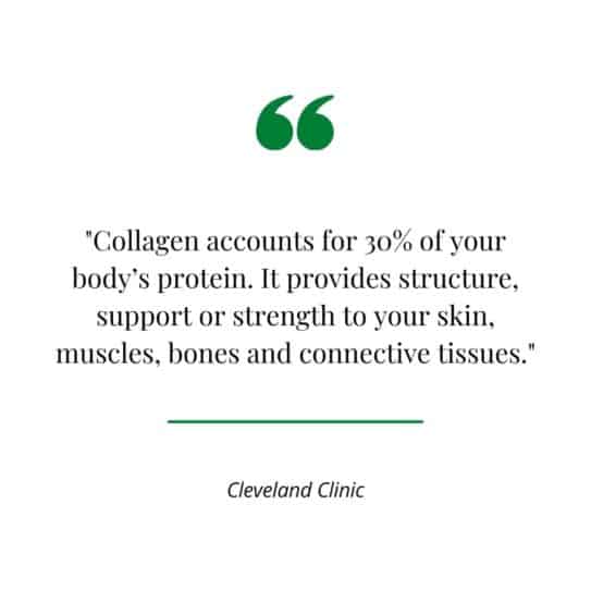 How Much Collagen Should I Take Per Day? A Complete Guide To Collagen ...