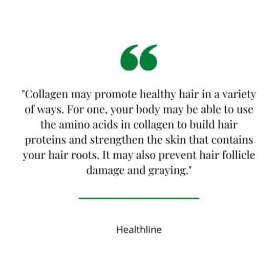 Collagen Powder: Everything You Need To Know – Organixx