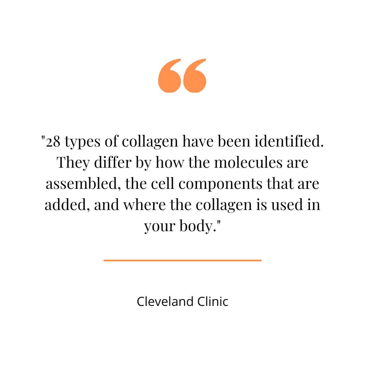 What Is Collagen: Everything You Need To Know – Organixx