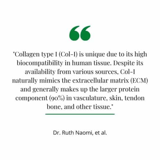 Do You Need All 5 Types Of Collagen? What You Need To Know – Organixx