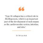 Do You Need All 5 Types Of Collagen? What You Need To Know – Organixx