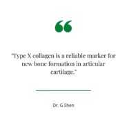 Do You Need All 5 Types Of Collagen? What You Need To Know – Organixx