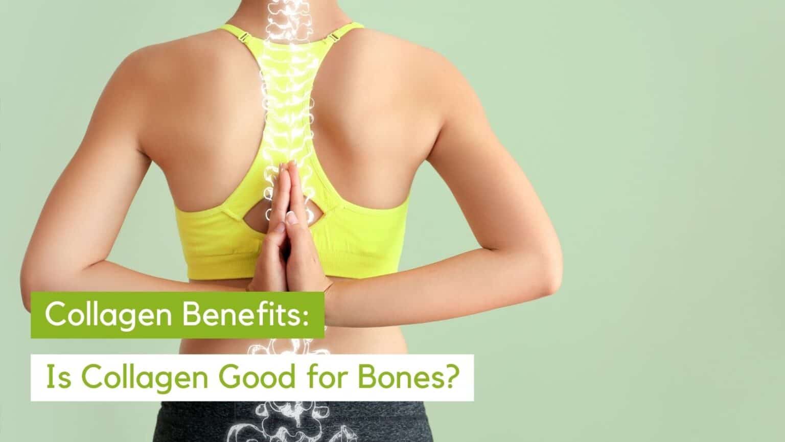 Is Collagen In Bones: How to Get More Collagen for Healthy Bones – Organixx