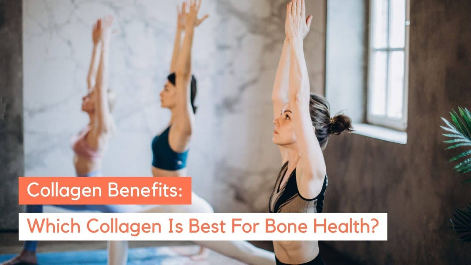 What Type Of Collagen Is Best For Bones? – Organixx
