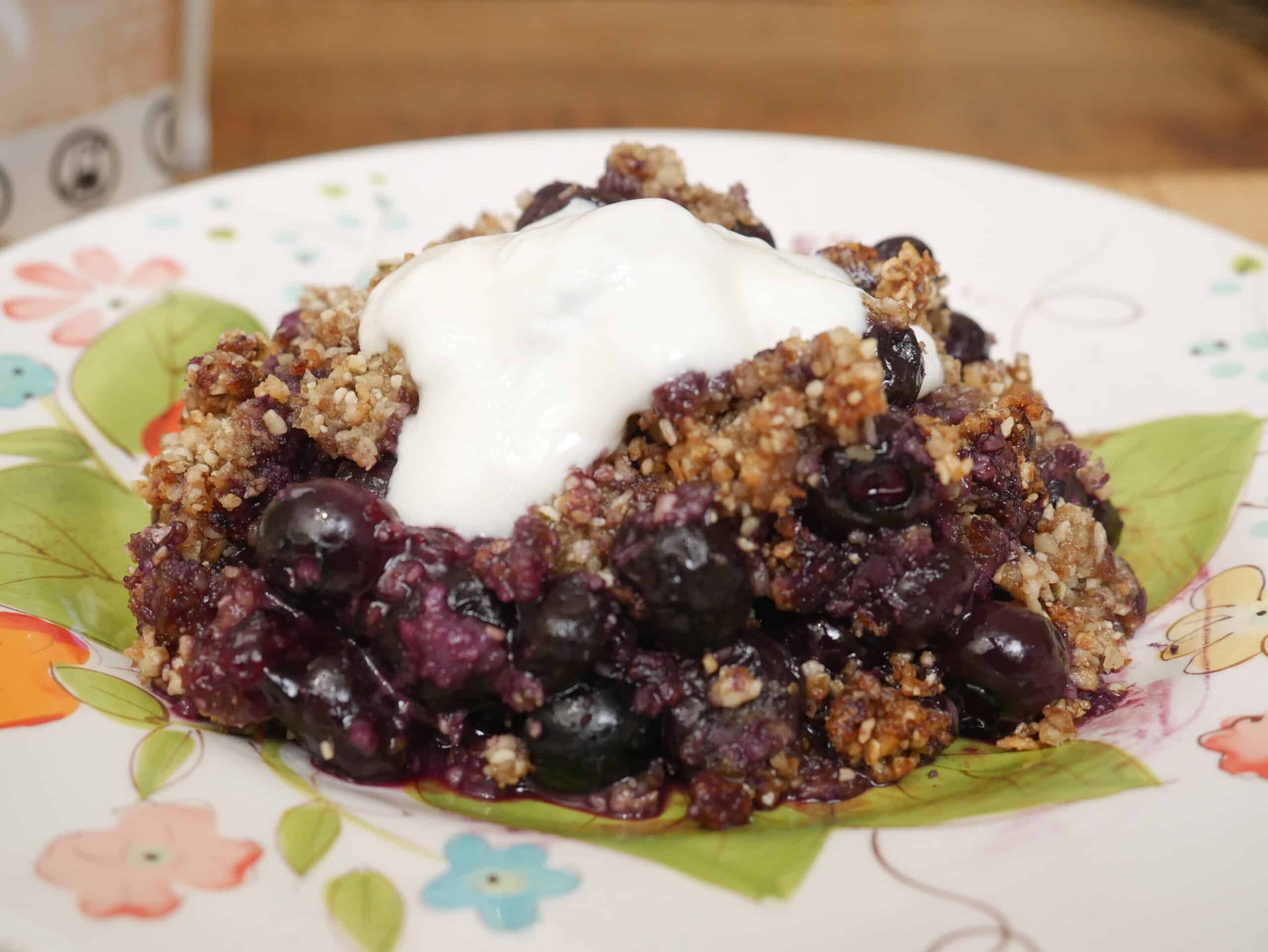 Flourless Blueberry Walnut Bake – Organixx