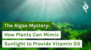 The Algae Mystery: How Plants Can Mimic Sunlight to Provide Vitamin D3 ...