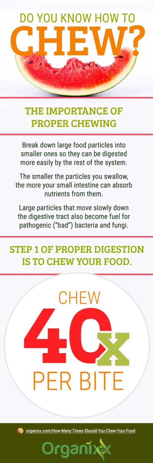 How Many Times to Chew Your Food [11 Ways to Improve Digestion] – Organixx