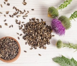 Milk Thistle Benefits: 15 Ways This Super Herb Can Improve Your Health ...
