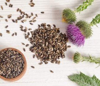 Milk Thistle Benefits: 15 Ways This Super Herb Can Improve Your Health ...