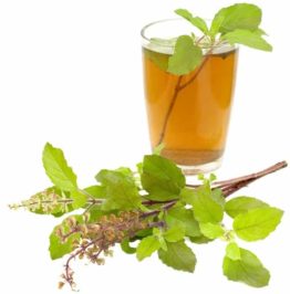 Health Benefits of Holy Basil: Ayurveda's "Sacred Herb" – Organixx