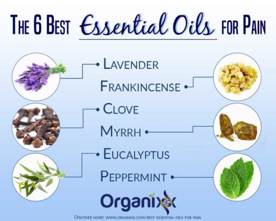 6 of the Best Essential Oils for Pain – Organixx