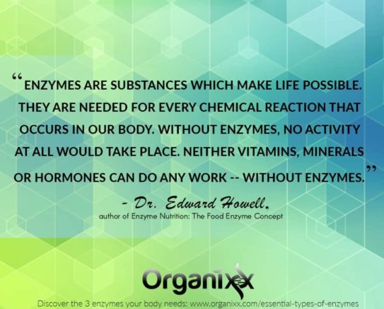 3 Essential Types of Enzymes Our Bodies Need to Function Well – Organixx